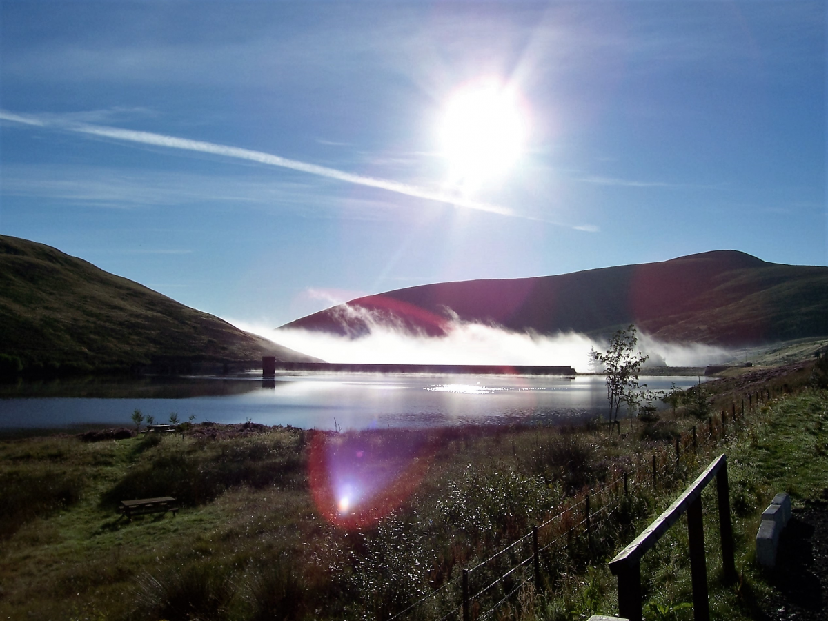 Frandy Fishery | Frandy Fishery