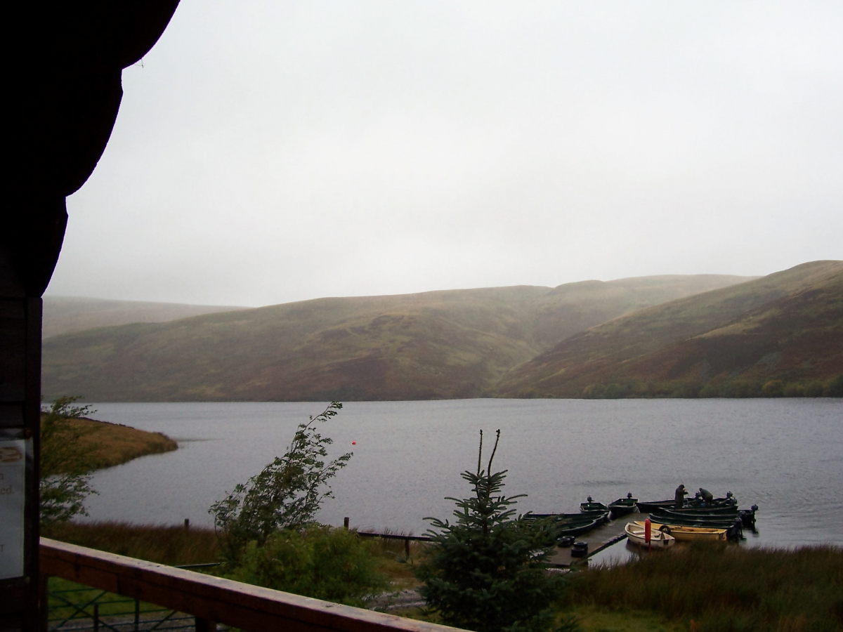 Frandy Fishery | Frandy Fishery