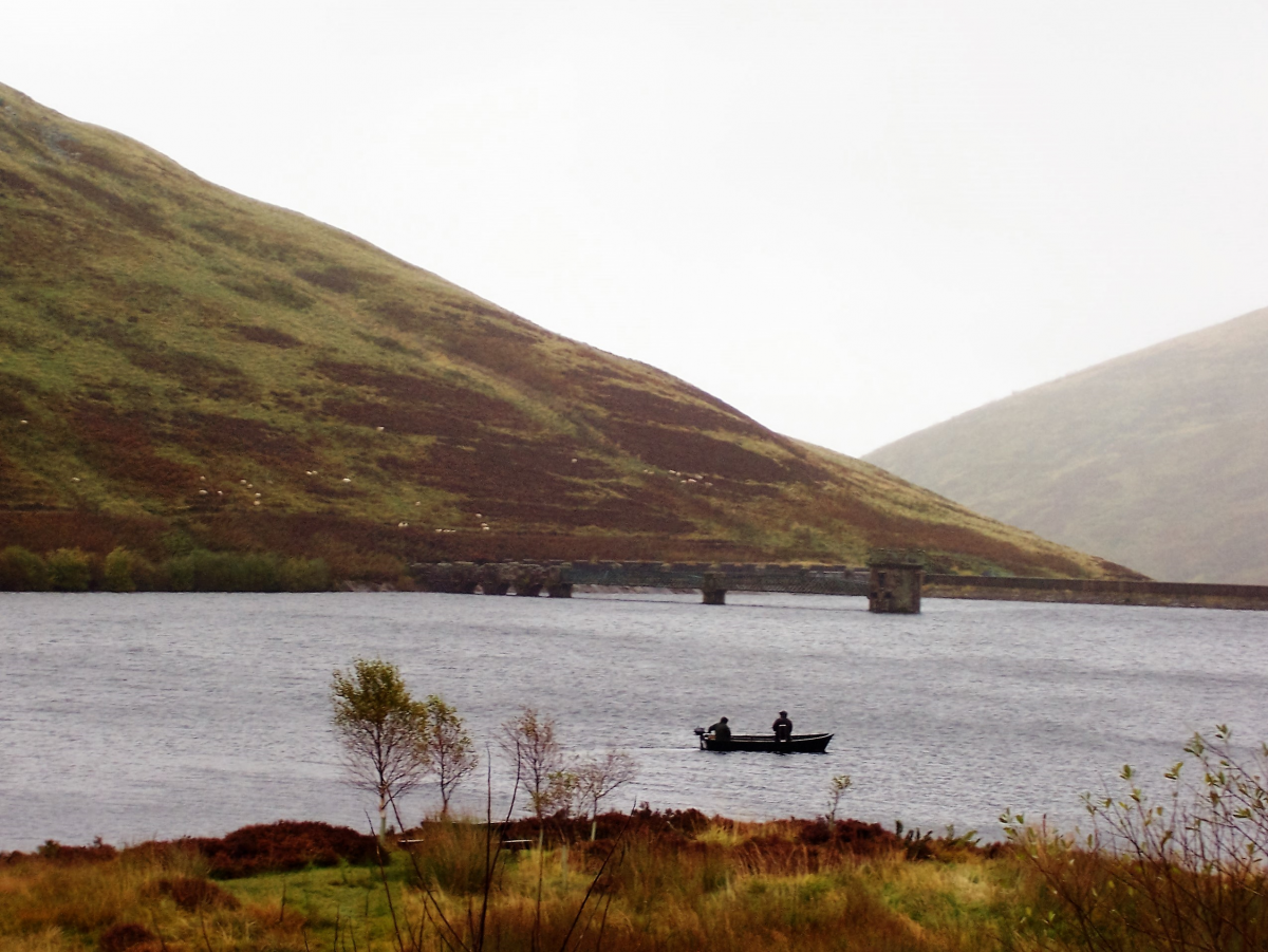 Frandy Fishery | Frandy Fishery